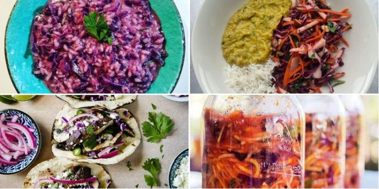 21 Vibrant Purple Cabbage Recipes for Healthy Eating - Gela Recipes