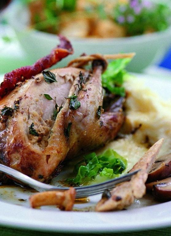 27 Delightful Partridge Cooking Recipes to Savor - Gela Recipes